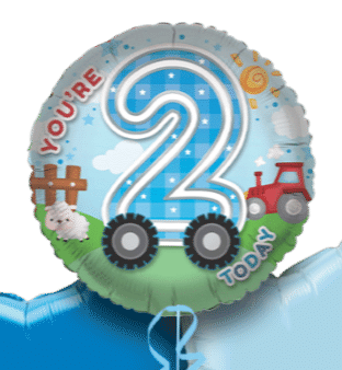 Birthday Balloons - Helium Balloon Gift Delivery UK